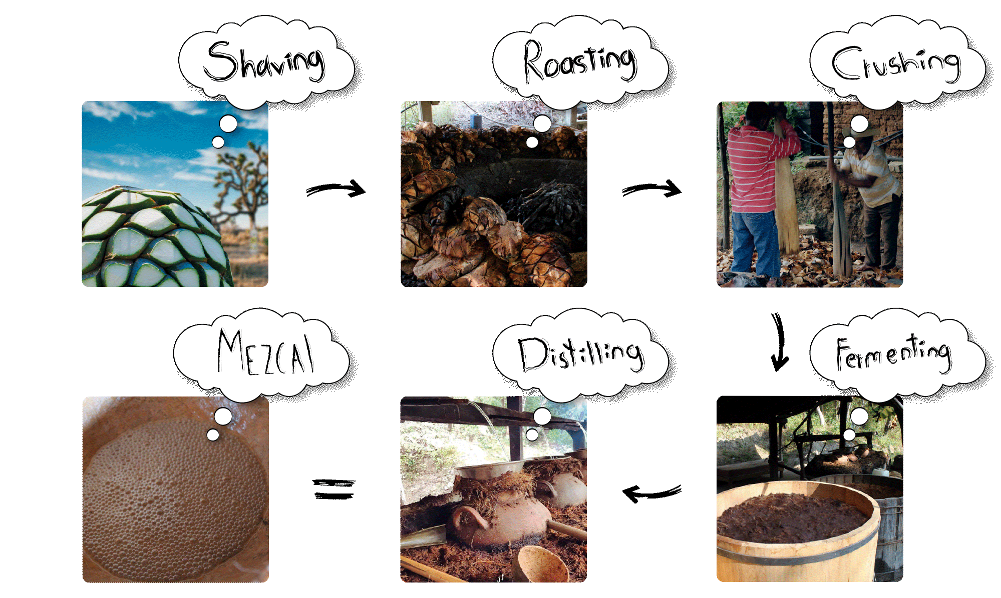 Process – Destilería Santa Sabia