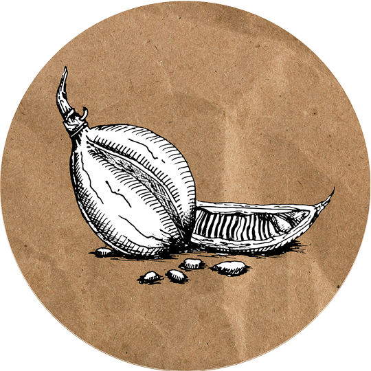 Santa Sabia – Destilería Santa Sabia